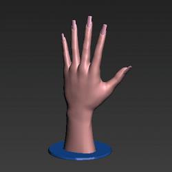 nail training hand 3D Models | Page 1 | STLFinder