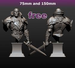 vampire knights 3d models 【 STLFinder