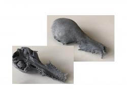 bat skull mask 3D Models | Page 1 | STLFinder
