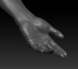 human arm 3D Models | Page 1 | STLFinder