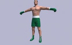rigged boxer 3D Models | Page 1 | STLFinder