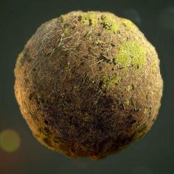 forest ground texture 3D Models | Page 1 | STLFinder