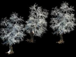 rime model | Page 1 | STLFinder