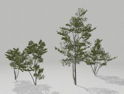 3d little trees | Page 1 | STLFinder