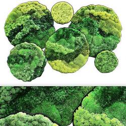 andrelyn moss model | Page 1 | STLFinder