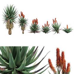 resogun ferox model medium | Page 1 | STLFinder