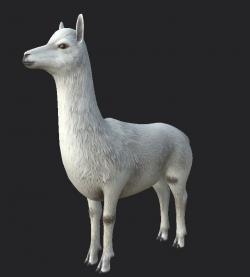 alpaca low poly 3d model | Page 1 | STLFinder