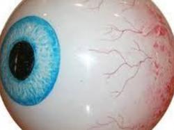 bulz eye 3d models 【 STLFinder