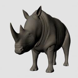 animated rhino 3D Models | Page 1 | STLFinder
