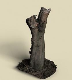 3d tree roots 【 STLFinder