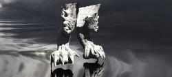reptile legs 3D Models | Page 1 | STLFinder
