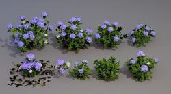 botany model | Page 1 | STLFinder