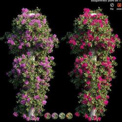 d2 c1 11 bougainvillea bugambilia 3D Models | Page 1 | STLFinder