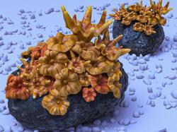 bokep manusia bersayap 3d polyp | Page 1 | STLFinder