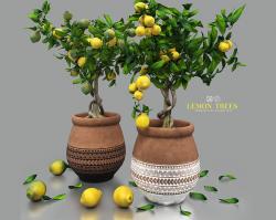 miniature lemon trees bunnings 3D Models | Page 1 | STLFinder