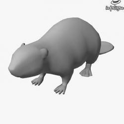 Low Poly Beaver 3d models 【 STLFinder