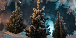 pine trees covered with snow 3D Models | Page 1 | STLFinder