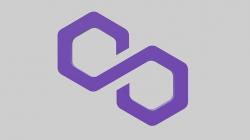 polygon matic wallet 3D Models | Page 1 | STLFinder