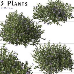 d2 c1 17 vinca periwinkle 3d models | Page 1 | STLFinder
