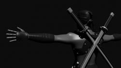 ninja warrior 3d models | Page 1 | STLFinder