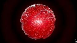 blood crystal 3D Models | Page 1 | STLFinder