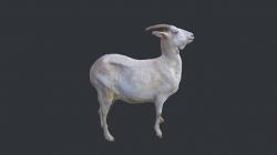 3d goat | Page 1 | STLFinder
