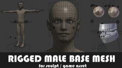 male base model blender | Page 1 | STLFinder