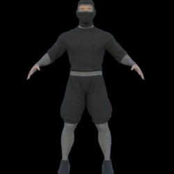 ninjas models | Page 1 | STLFinder