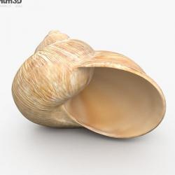 snail shell pattern 3d models | Page 1 | STLFinder