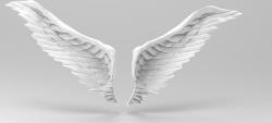 open angel wings drawing 3D Models | Page 1 | STLFinder