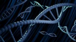 human dna model | Page 1 | STLFinder