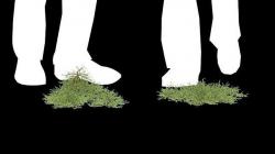 juniperus conferta bonsai 3D Models | Page 1 | STLFinder