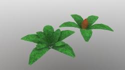 low poly tropical plants 3D Models | Page 1 | STLFinder