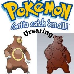Pokemon Ursaring 3d models 【 STLFinder