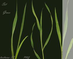 minecraft grass texture 16x16 png 3D Models | Page 1 | STLFinder