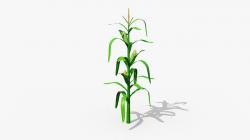 corn stalk 3d models | Page 1 | STLFinder