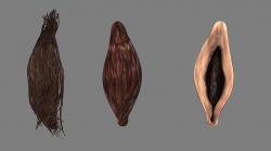 betel nut design texture 3D Models | Page 1 | STLFinder
