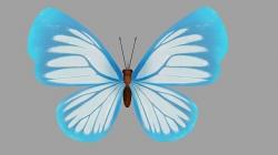 butterfly rig 3d models 【 STLFinder
