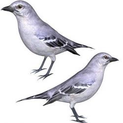 mocking bird 7130 figurine 3D Models | Page 1 | STLFinder