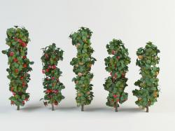 CRYENGINE Apple Tree Set 3D Models | Page 1 | STLFinder