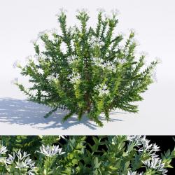 hebe girl inces 3d | Page 1 | STLFinder