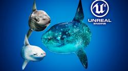 ue4 ocean 3D Models | Page 1 | STLFinder