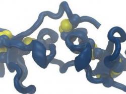 peptide 3D Models | Page 1 | STLFinder