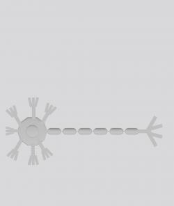 neuron models parameters fitting | Page 1 | STLFinder