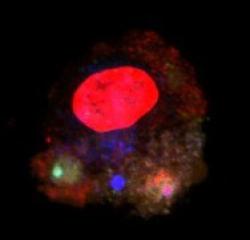 dendritic solidification 3D Models | Page 1 | STLFinder