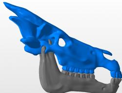 skull of corruption skyrim 3D Models | Page 1 | STLFinder