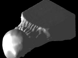 leonardo schematic 3D Models | Page 1 | STLFinder