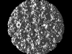 papillomavirus e6 3d structure | Page 1 | STLFinder