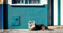 benriya47 support consultations 3D Models | Page 1 | STLFinder