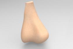 human nose 3D Models | Page 1 | STLFinder